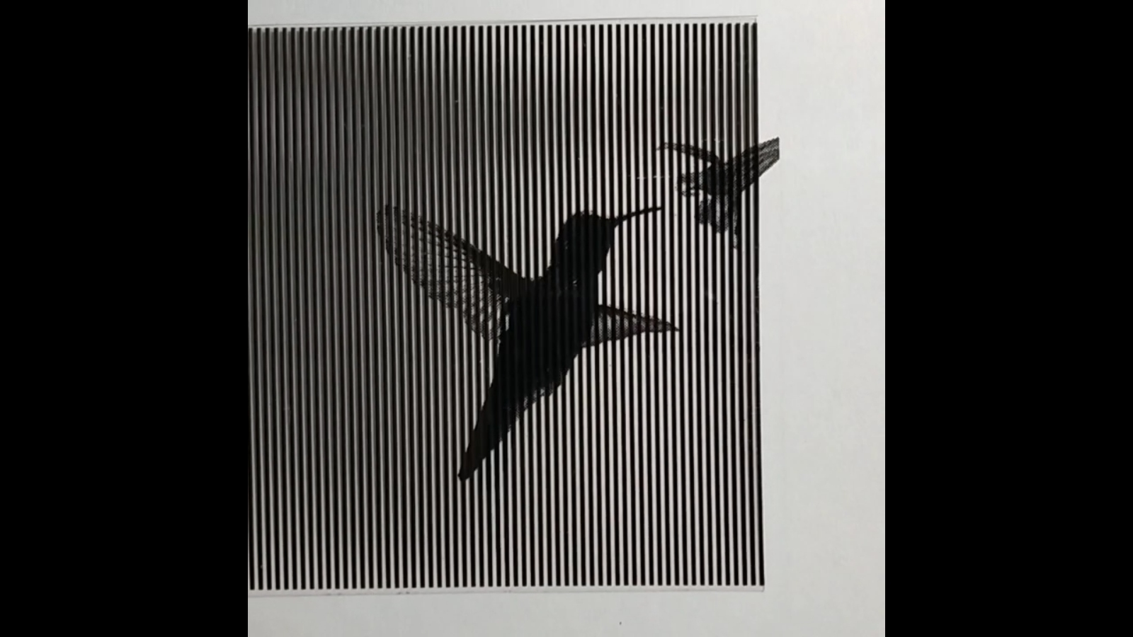 scanimation | Exchange Art | Exchange Art