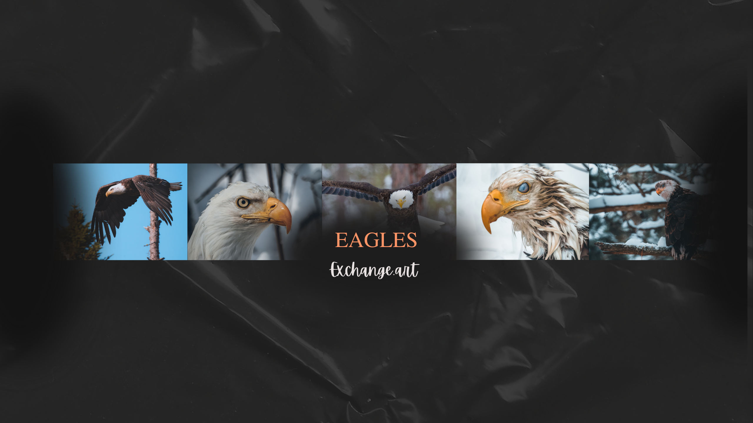 Eagles | Exchange Art | Exchange Art