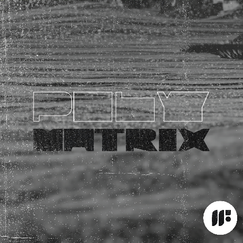 POLYMATRIX | Exchange Art | Exchange Art