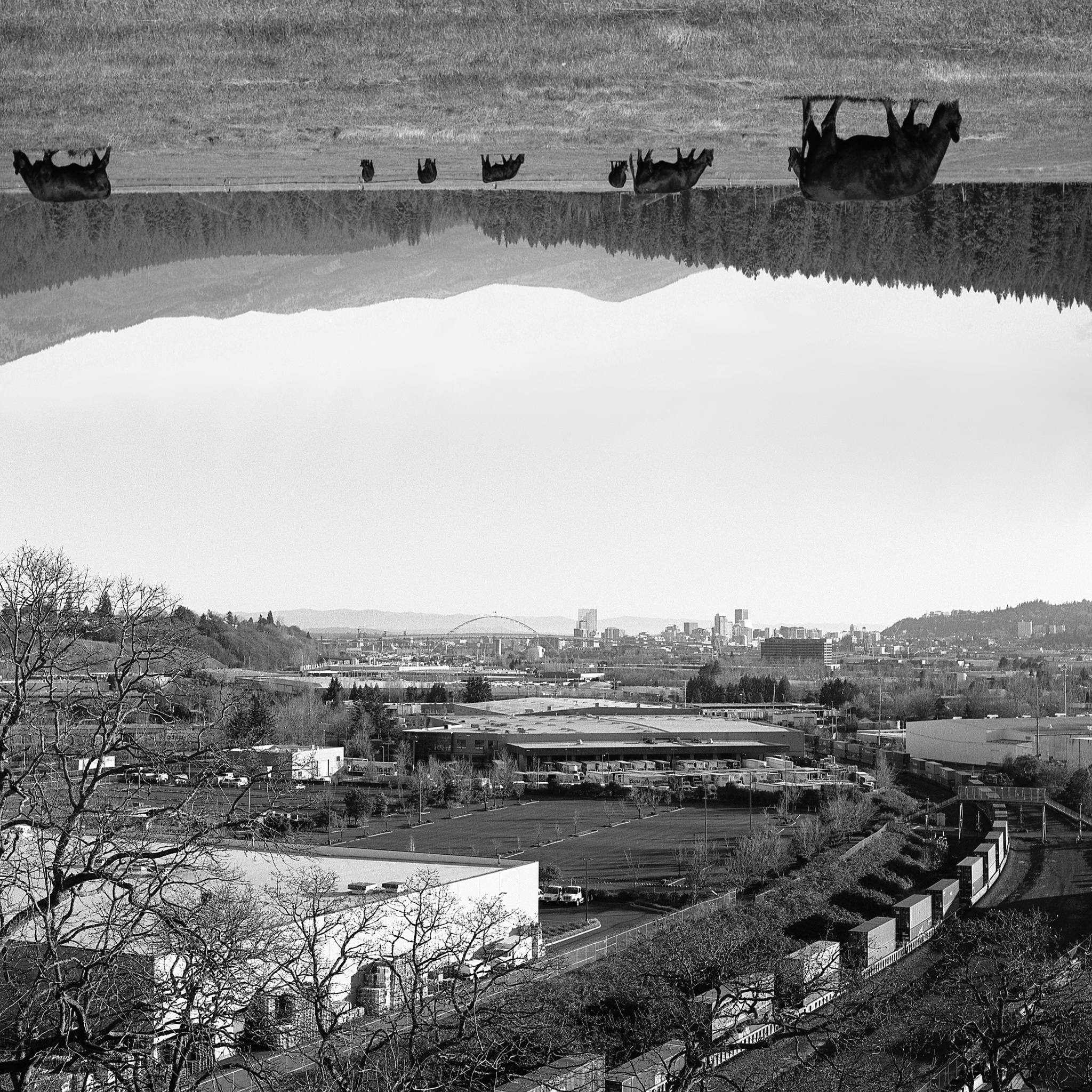 So Above | As Below | Exchange Art | Exchange Art